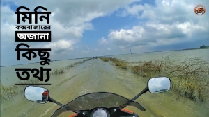 পাটুল হালতি বিলের কিছু তথ্য | Mini Coxs Bazar | Patul Natore