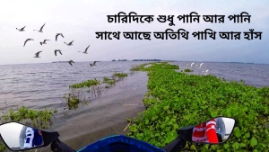মিনি কক্সবাজারের অপরূপ দৃশ্য | Mini Coxs Bazar | Patul Natore